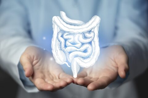 Maintaining Healthy Bowel Habits | Independence Australia